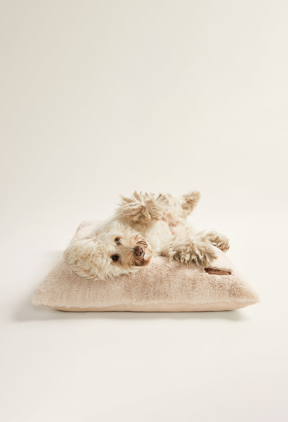 Floof Human Dog Bed | UnHide