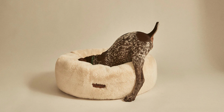 Floof Human Dog Bed | UnHide