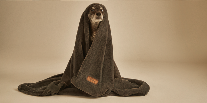 Floof Human Dog Bed | UnHide